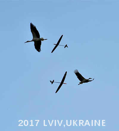 志高飞翔F3K教程 | F3K